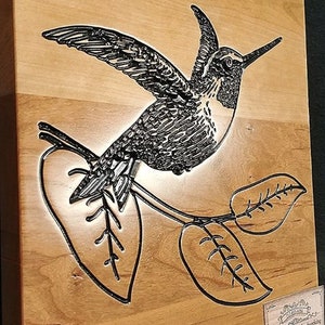 Hummingbird Dxf/svg - Etsy