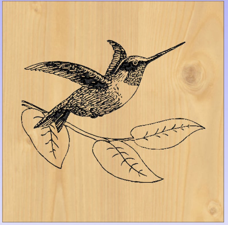 Hummingbird Dxf/svg | Etsy