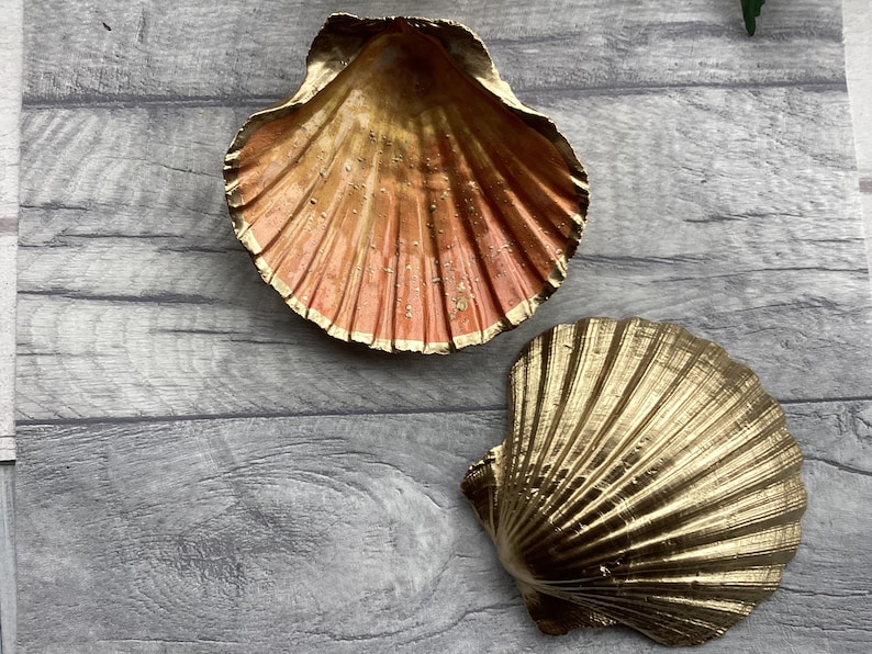 Gold Gilded Scallop Shell Ring Dish: Iridescent Painted Keepsake - Etsy
