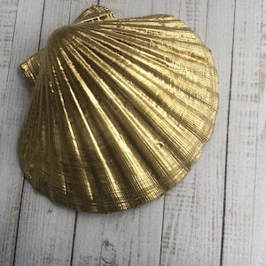 Hummingbird Shell Jewellery Dish. Gold Jewellery Dish. Pot Pourri Dish ...
