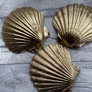 Multi Colours and Gold Scallop Shell Ornament. Gold Gilded Trinket Dish ...