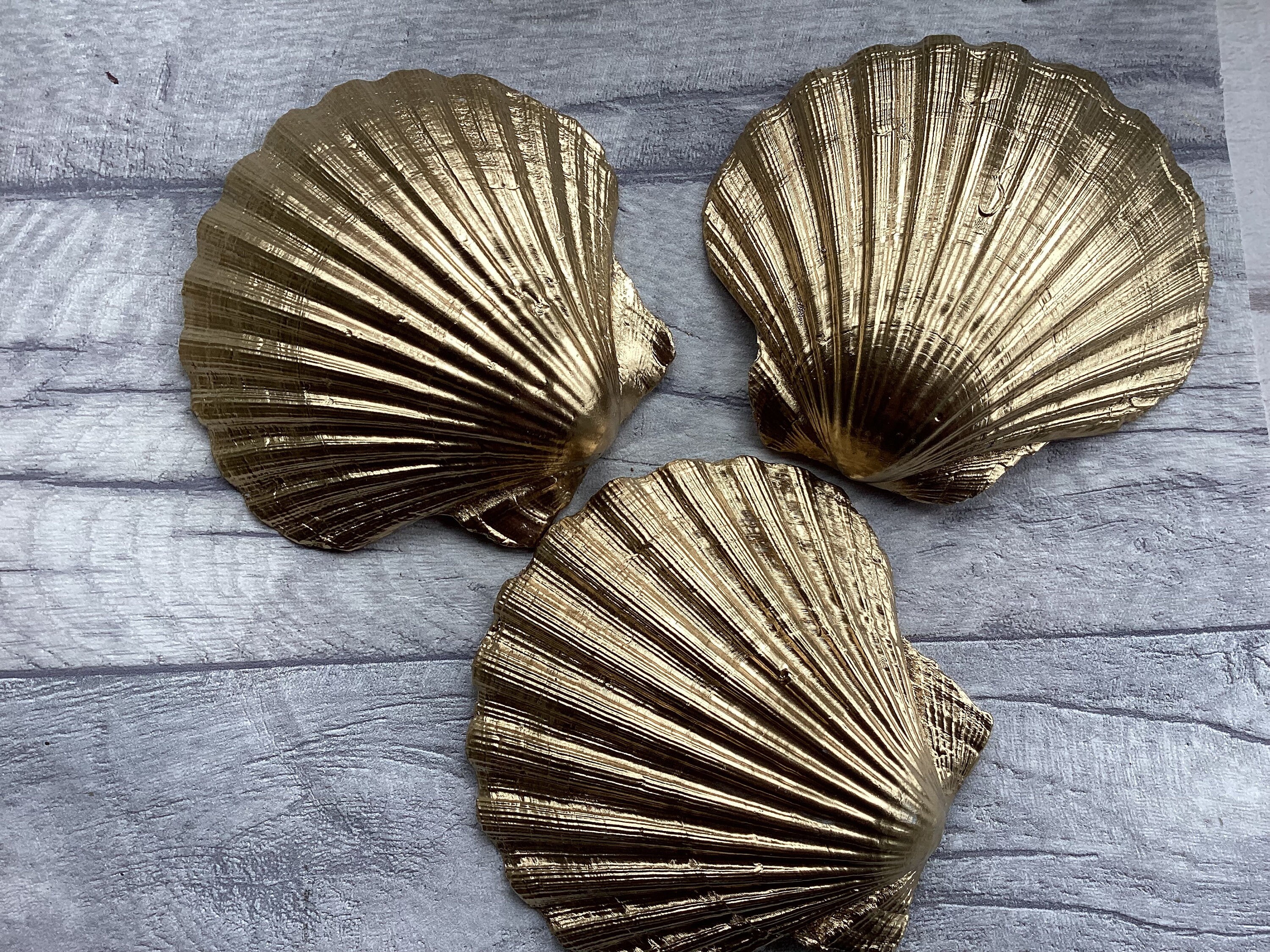 Gold Gilded Scallop Shell Ring Dish: Iridescent Painted Keepsake - Etsy