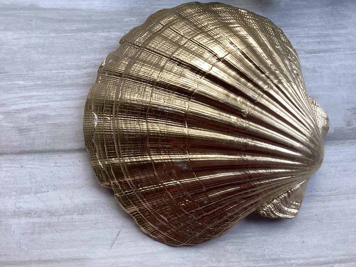 Handmade Teal Scallop Shell Trinket Dish: Gold Gilded Keepsake - Etsy
