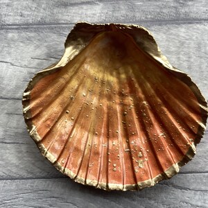 Multi Colours and Gold Scallop Shell Ornament. Gold Gilded Trinket Dish ...