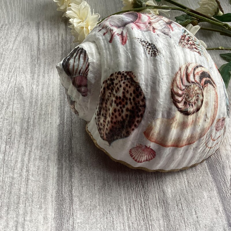 Decoupage Conch Shells - Etsy