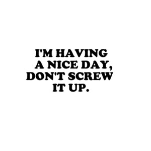 I'm Having A Nice Day Don't Screw It up Decal Funny - Etsy