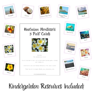 Adventures in Hawaii Unit Study BUNDLE - Etsy