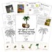 Adventures in Hawaii Unit Study BUNDLE - Etsy