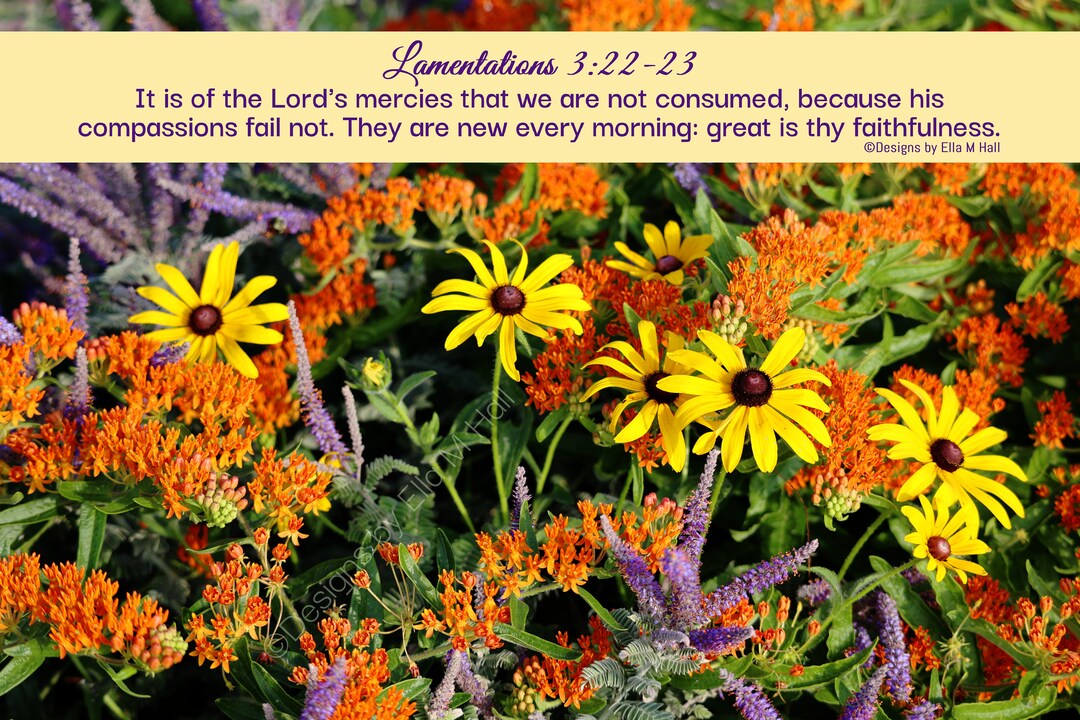 Wildflowers Photo With Scripture From Lamentations 3 Mercies - Etsy