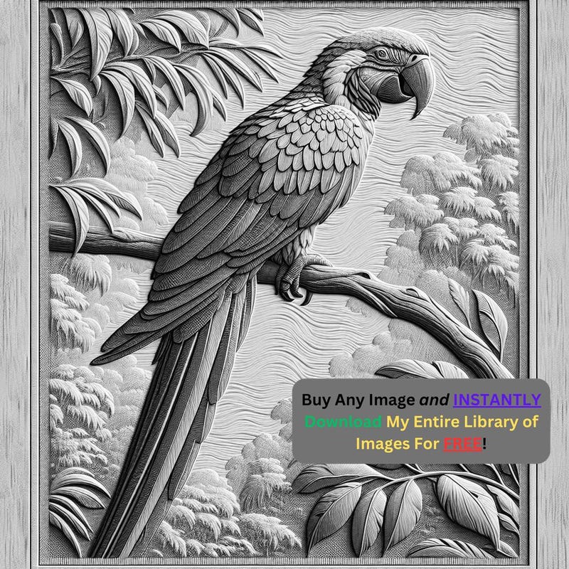 Wood Burned Bird Plaques - Etsy