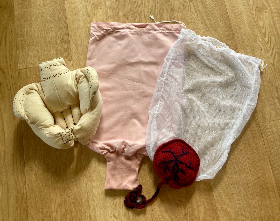 Cloth Pelvis, Uterus, Amniotic Sac, and Crochet Placenta , Childbirth ...
