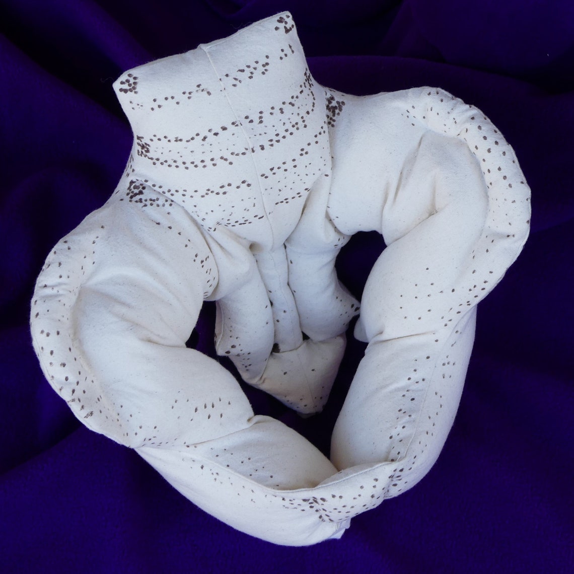 Cloth Pelvis Model, Birth Educators, Doulas, Midwiffery, Antenatal ...