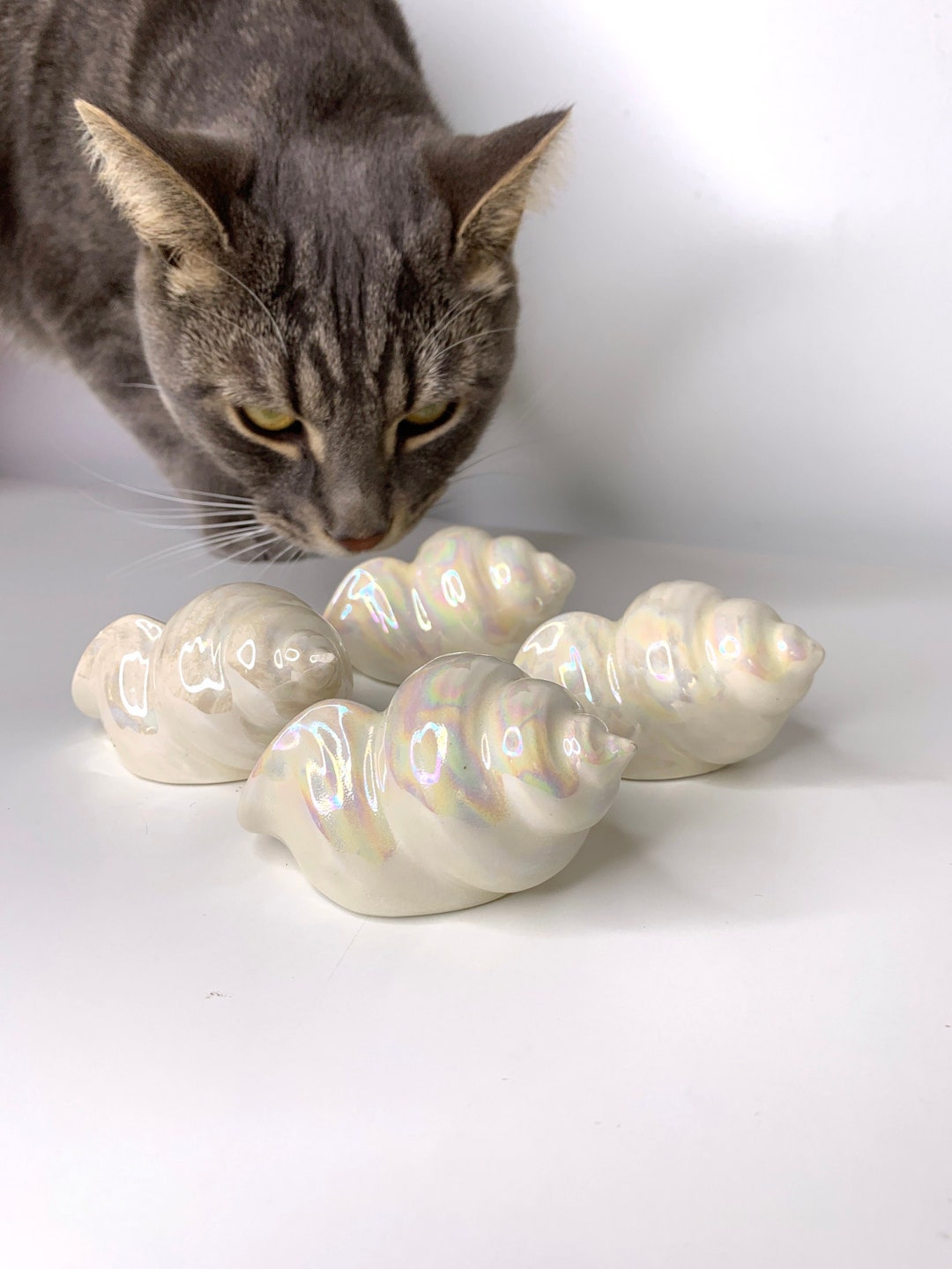 Set of 4 Iridescent Conch Seashell Napkin Rings - Etsy