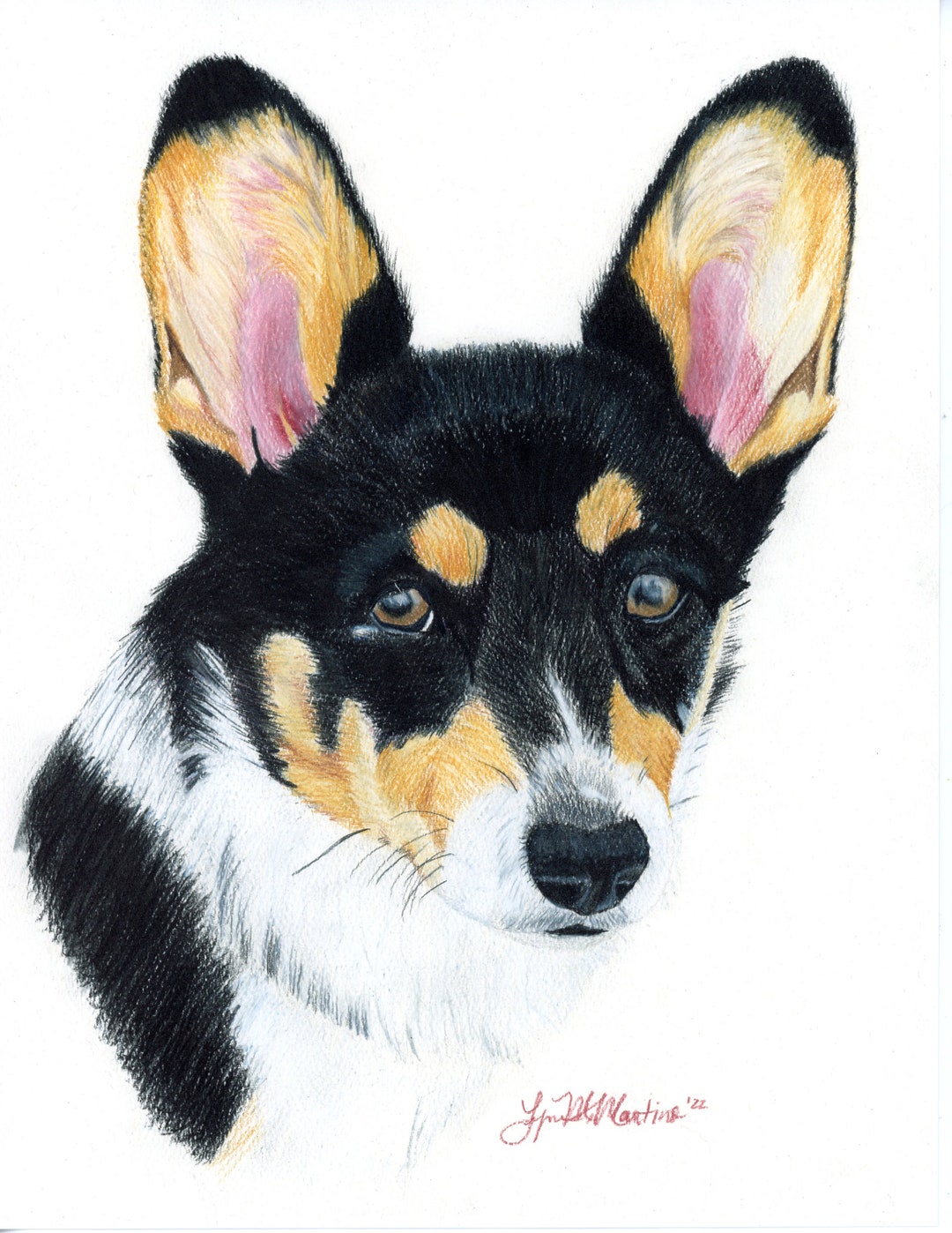 Colored Pencil Pet Portraits, Dog Portrait From Photo, Custom Drawing ...