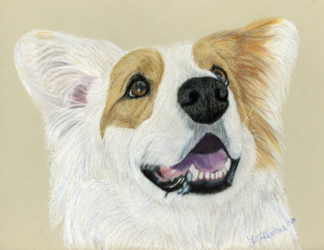 Colored Pencil Pet Portraits, Dog Portrait From Photo, Custom Drawing ...