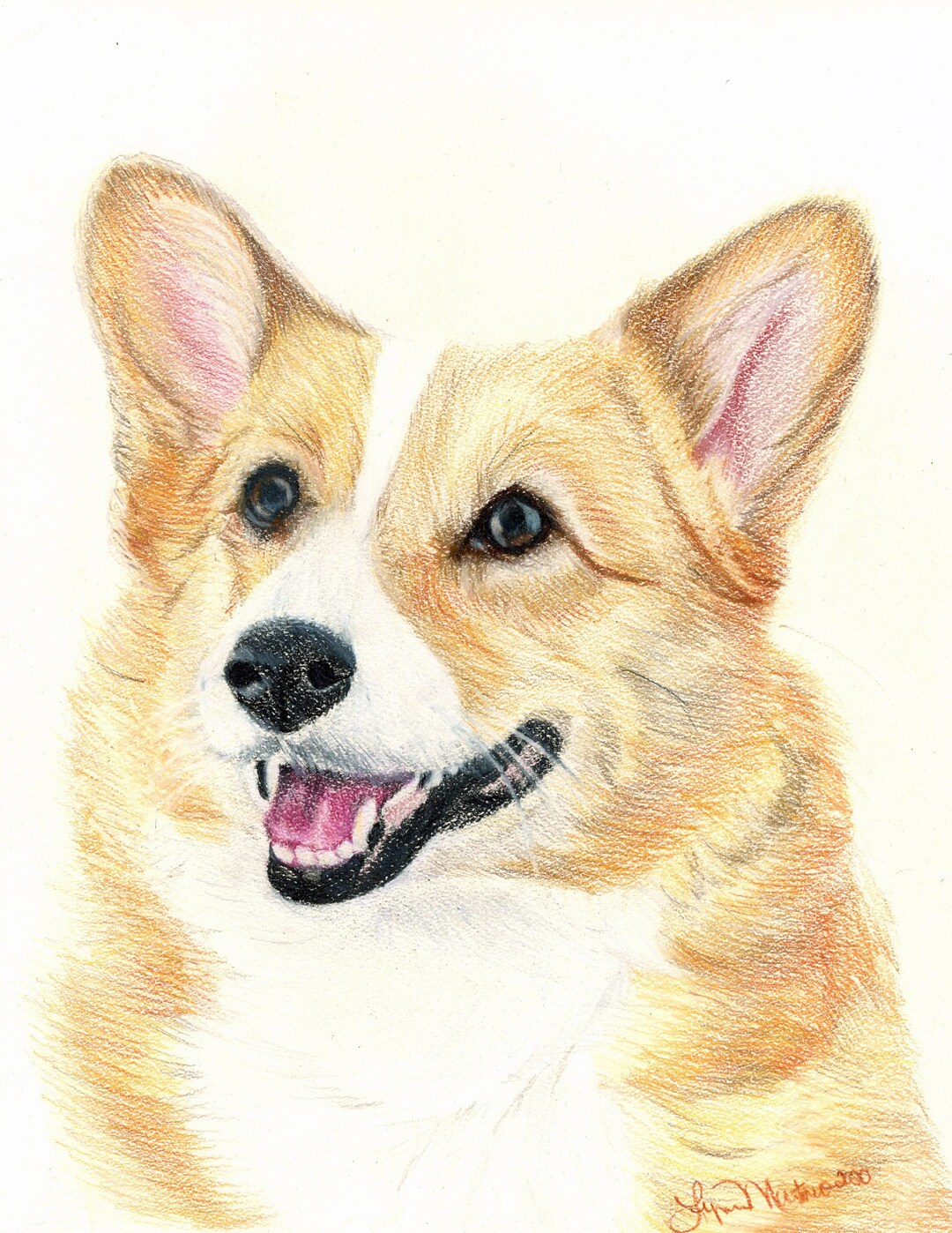 Colored Pencil Pet Portraits, Dog Portrait From Photo, Custom Drawing ...