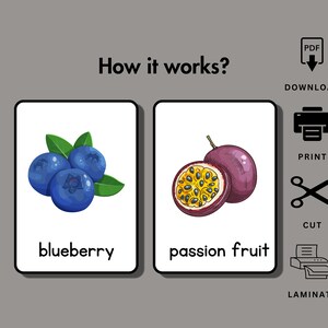 Printable Fruit Flashcards, Printable Flashcards, Fruits Flashcards ...