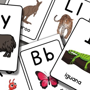 Alphabet Flashcards Printable Animal Picture Flashcards Printable ...