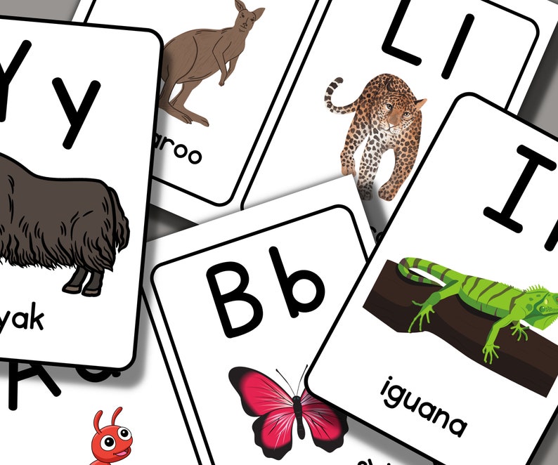 Alphabet Flashcards, ABC Printable Picture Flashcards, Printable ...