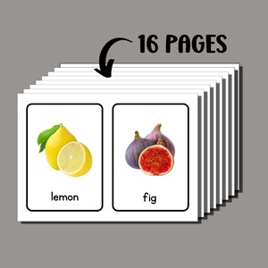 Printable Fruit Flashcards, Printable Flashcards, Fruits Flashcards ...