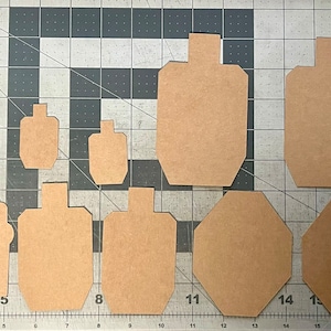 USPSA Training Target Kit for Dry Fire Shooting Practice With Free ...