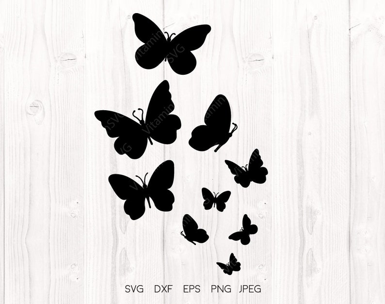 Papillon SVG Papillons bundle SVG Cricut Téléchargements | Etsy