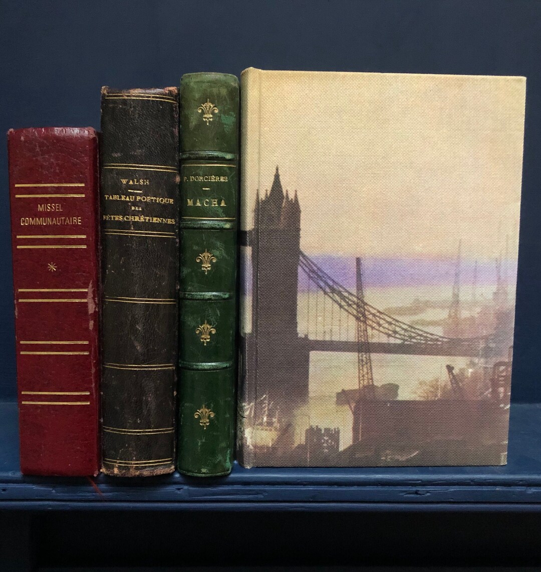 Decorative Vintage French Book Bundle Interior Design Leather Books - Etsy