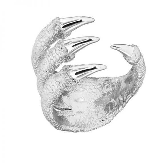 Dragon Claws Drawing