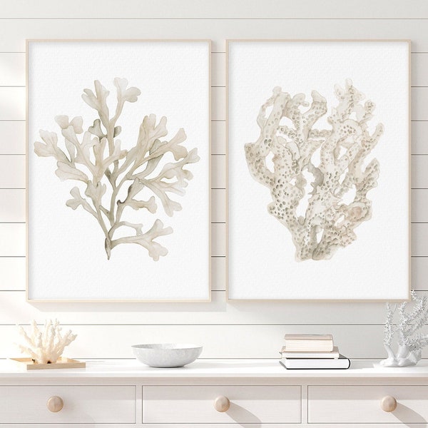 Coral Wall Art - Etsy