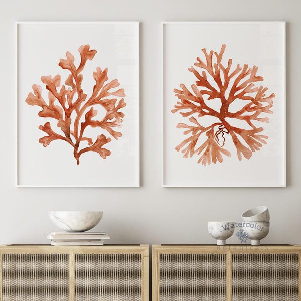 Coral Wall Decor - Etsy
