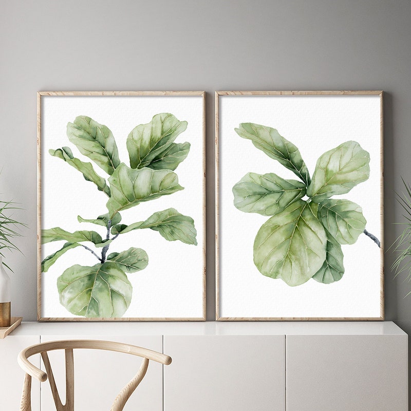 Fiddle Leaf Fig Tree - Etsy