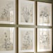 Modern Farmhouse Set of 6 Prints, Black Flowers on Rustic Background ...