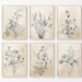Modern Farmhouse Set of 6 Prints, Black Flowers on Rustic Background ...