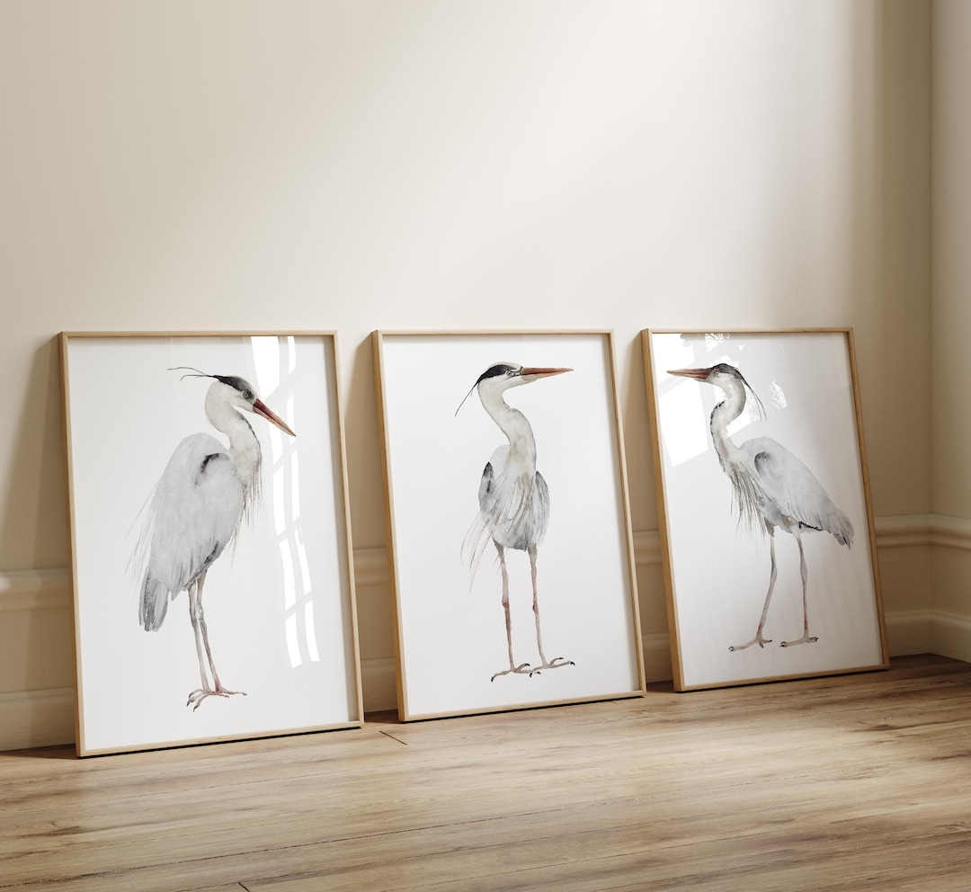 Neutral Birds Drawings -herons Set of 3 Prints – Large Bird Watercolor ...
