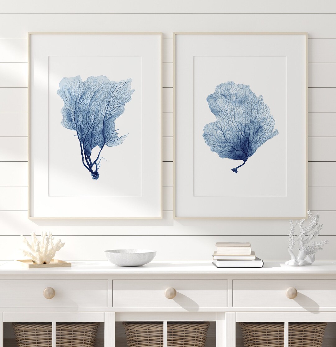 Modern Seafan Coral Poster Minimalist Art Set of 2 Prints - Etsy