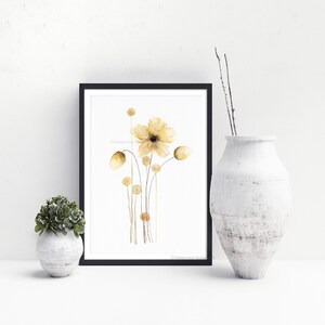 Watercolor Minimalist Yellow Flower With Billy Buttons Painting ...
