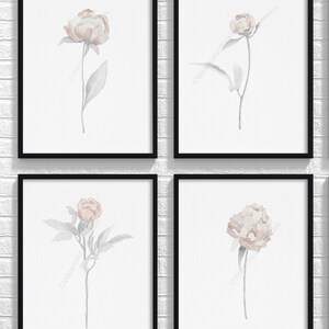 Watercolor Peonies Set of 4 Prints, Minimalist Painting Floral Wall Art ...