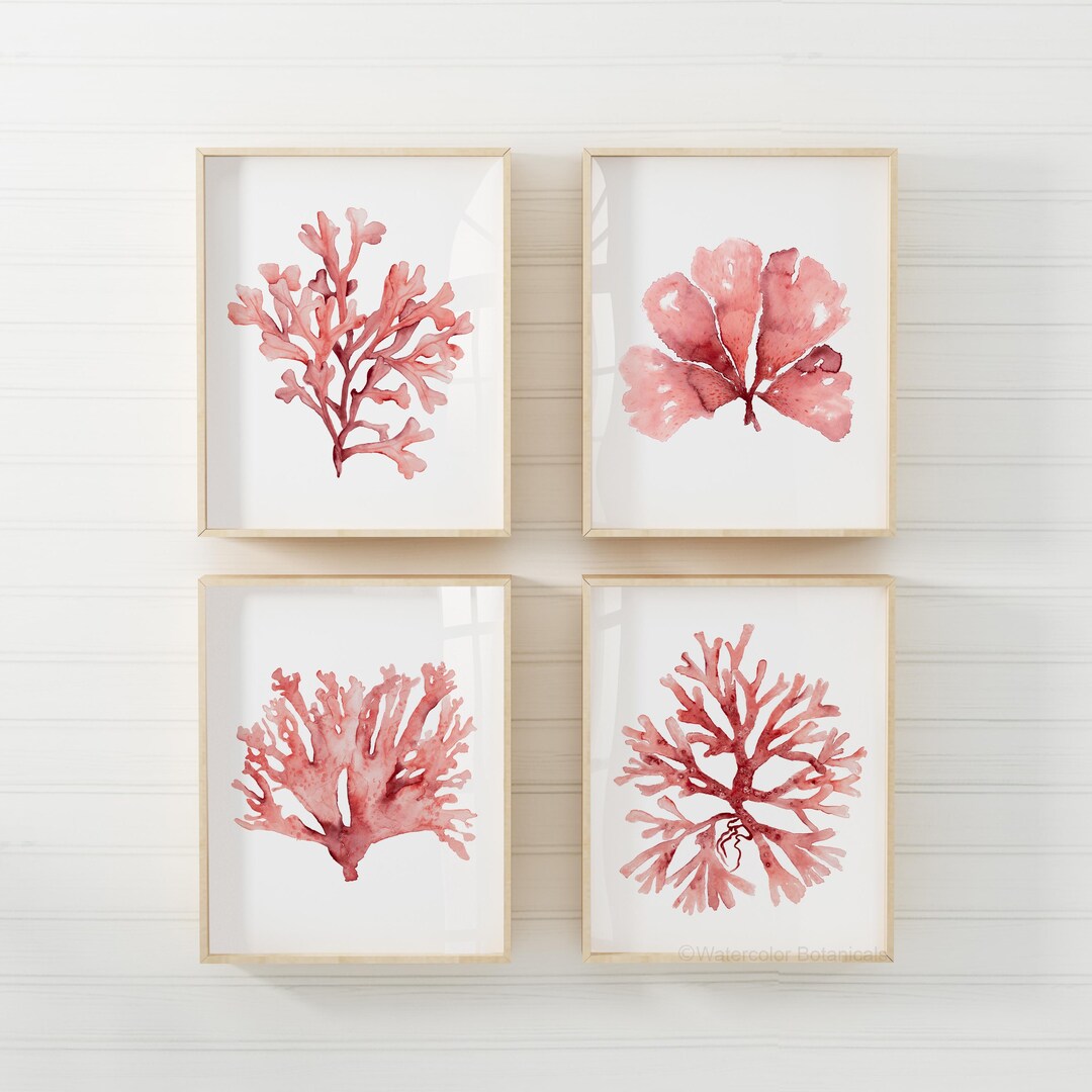 4 Red Coral Prints – Coastal Wall Art, Nautical Beach Decor, Raspberry ...