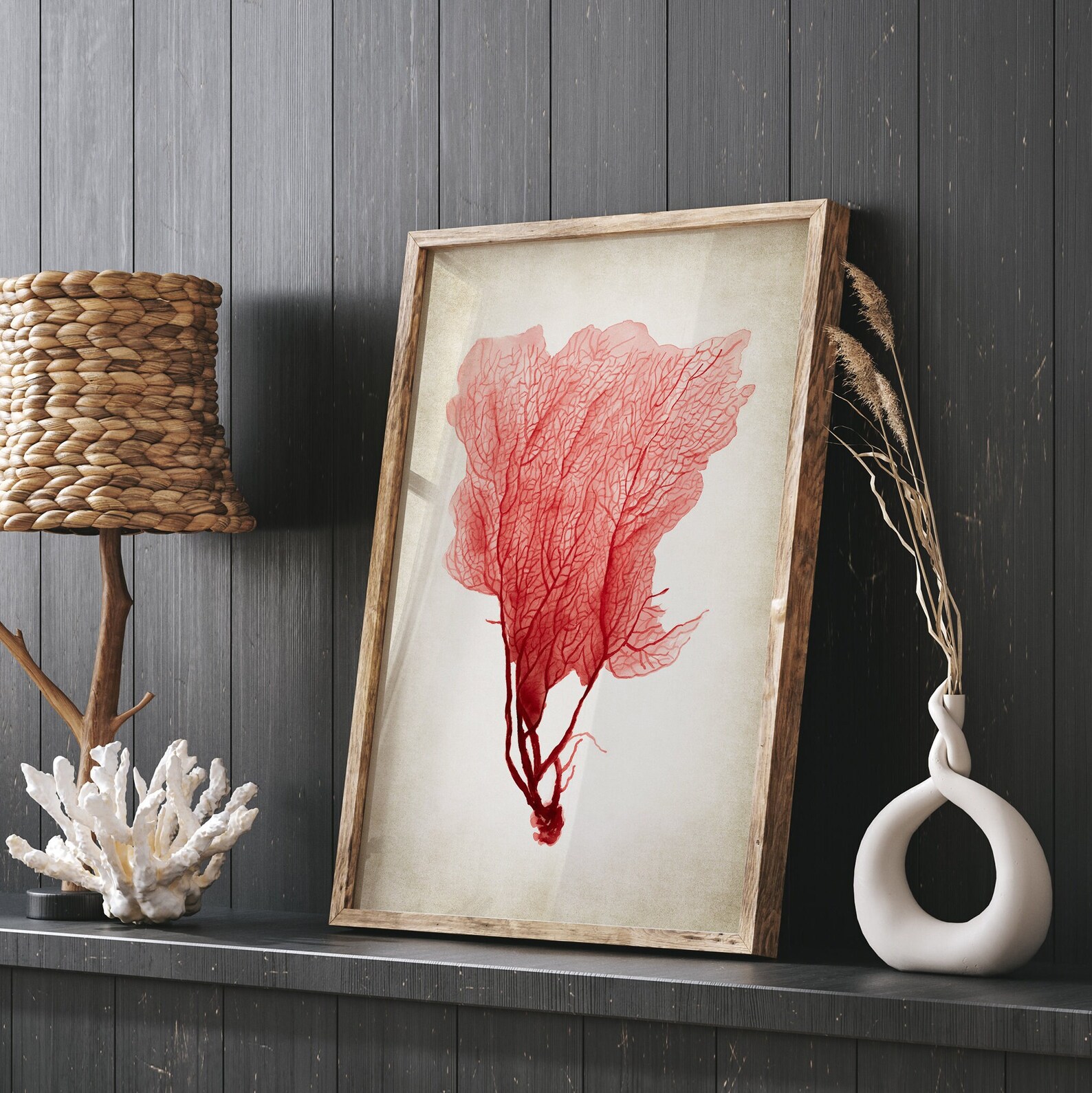 Vintage Red Coral Art Prints, Coastal Wall Decor, Set of 3 - Etsy