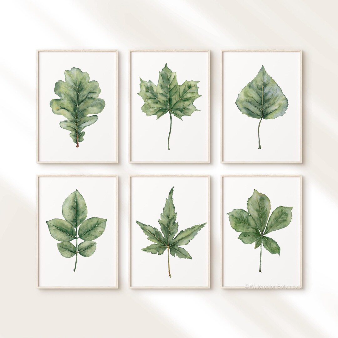 Watercolor Leaves Set of 6 PRINTS Botanical PRINT From Hand Painted ...