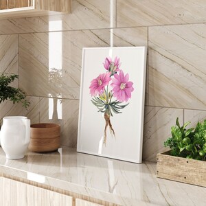 Bitterroot Watercolor Painting Montana State Flower - Etsy