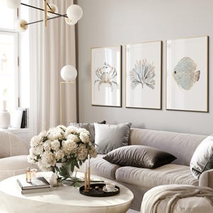 Coastal Boho Art - Seaweed Crab Discus Fish Minimalist Artwork, Modern ...