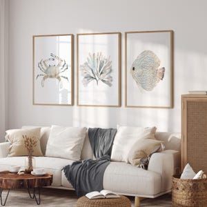 Coastal Boho Art - Seaweed Crab Discus Fish Minimalist Artwork, Modern ...