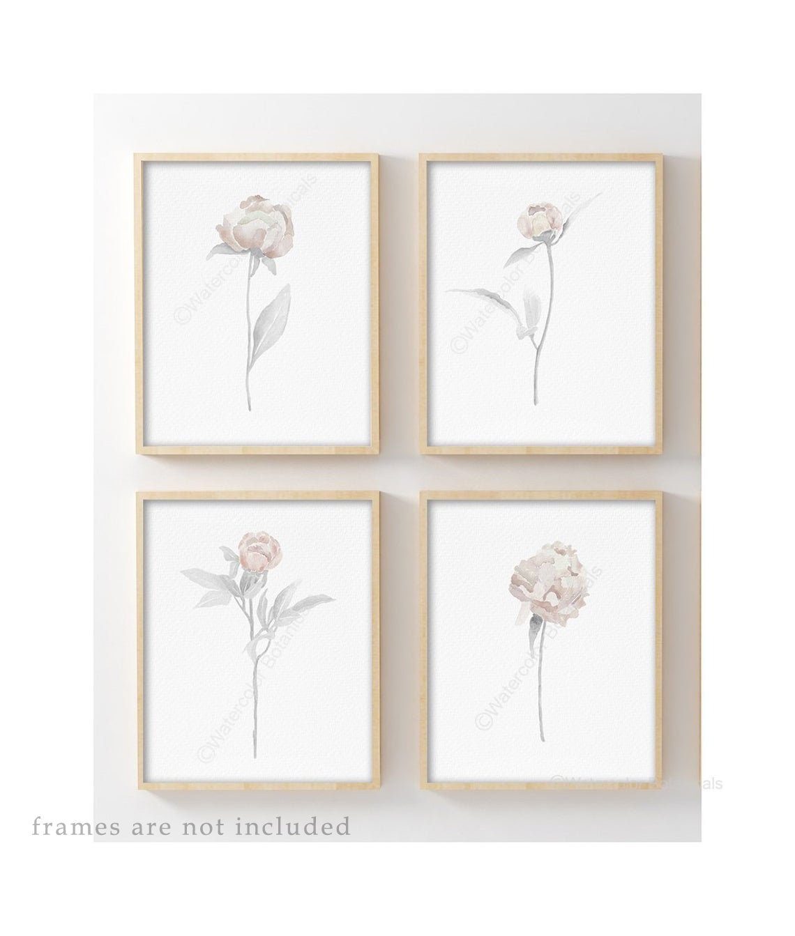 Watercolor Peonies Set of 4 Prints Minimalist Painting Floral - Etsy