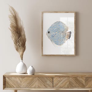 Abstract Discus Fish, Set of 2 Prints, Modern Coastal Wall Decor ...