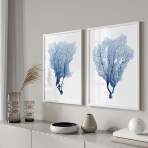 Watercolor Sea Fan Prints – Set of 2 Coastal Wall Art – Minimalist ...