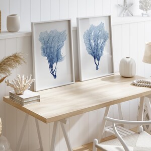 Watercolor Sea Fan Prints – Set of 2 Coastal Wall Art – Minimalist ...