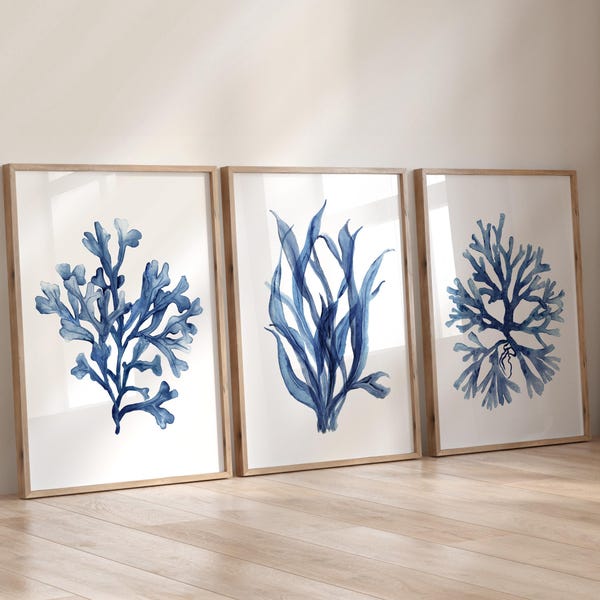 Navy Blue Coral Seaweed Wall Art Set of 3 Prints, Minimalist Watercolor ...