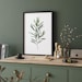 Minimalist Olive Branch, Modern Botanical Illustration, Scandi Wall ...
