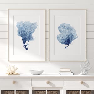 Modern Seafan Coral Poster, Minimalist Art, Set of 2 Prints, Navy Blue ...